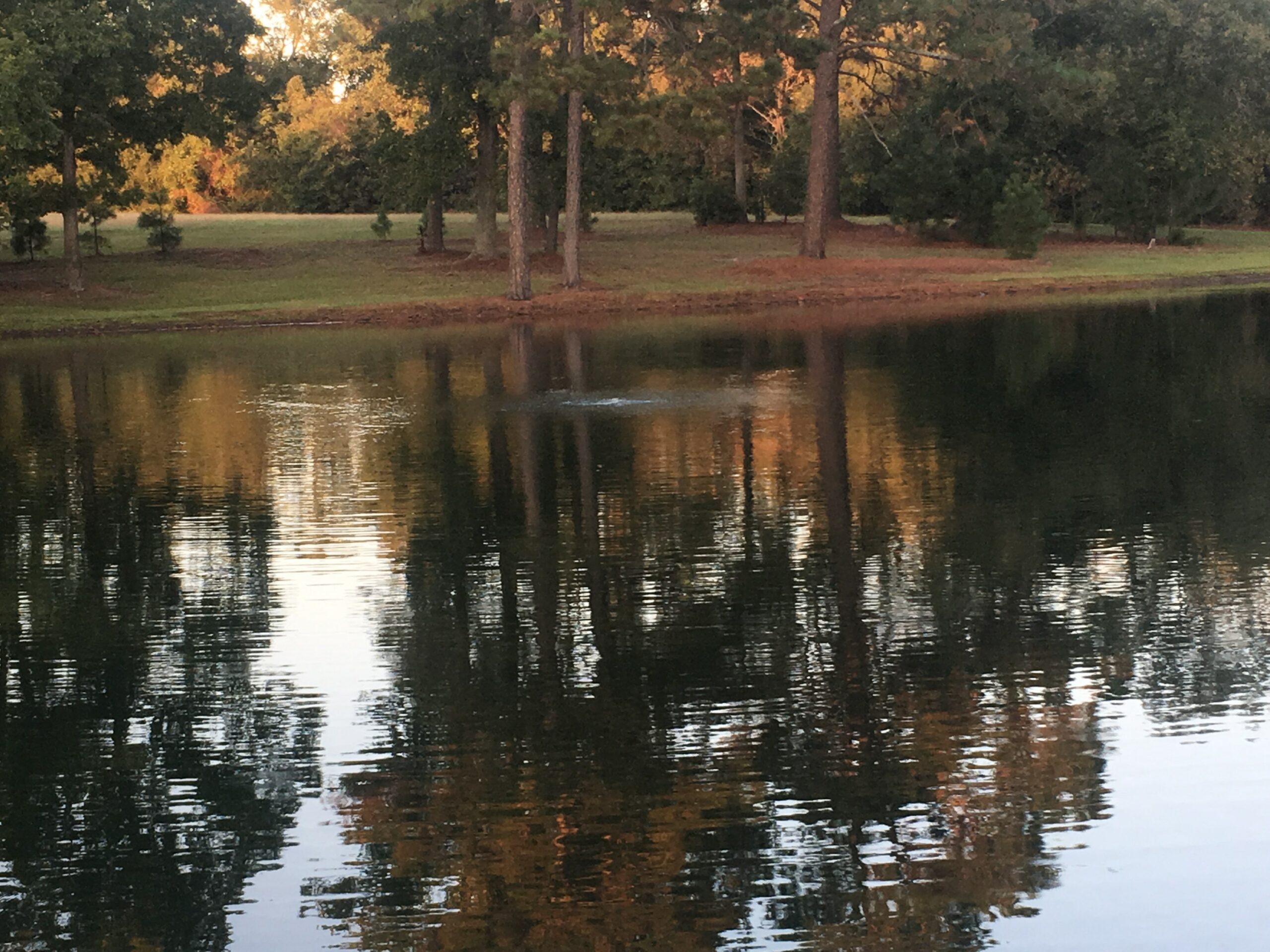 Aeration Combats Nitrogen Levels in Your NC Pond - Triangle Pond Management